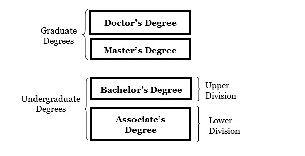 Undergraduate Vs Graduate: Learn the Major Difference