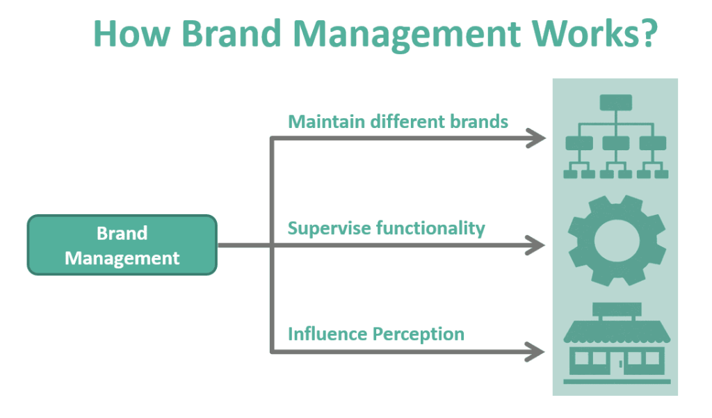 Brand Manager 2026 Guide - Roles, Salary & Career Path