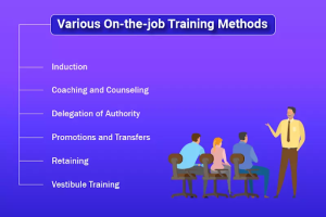 On-the-Job Training: What It Is, Methods & Importance
